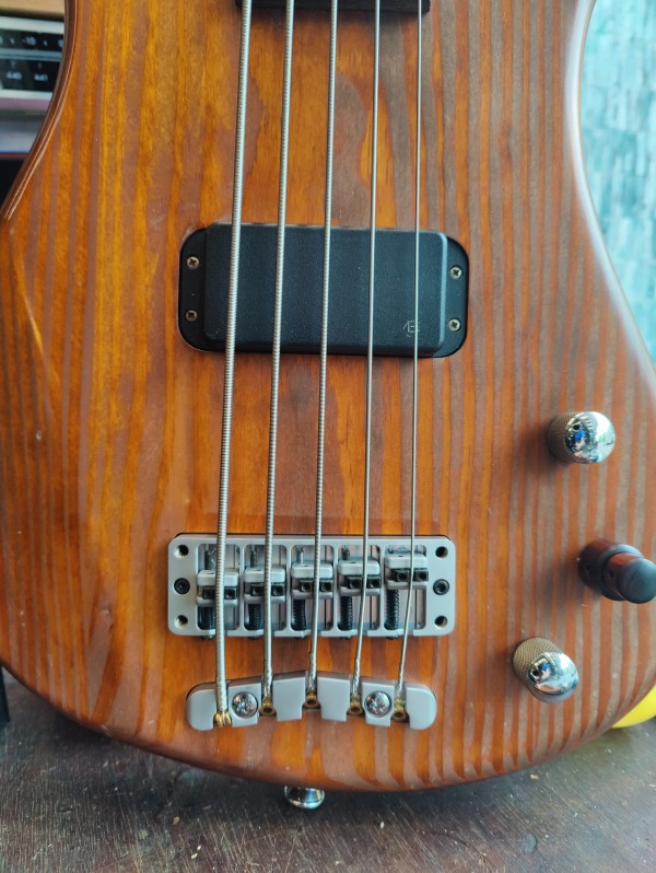 Warwick 5 String Bass Upgrades - jimmyegypt.com