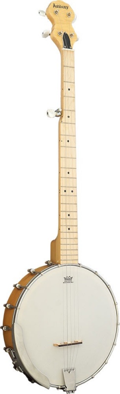 Ashbury AB-25-5 5 String Banjo, Maple Open Back - jimmyegypt.com