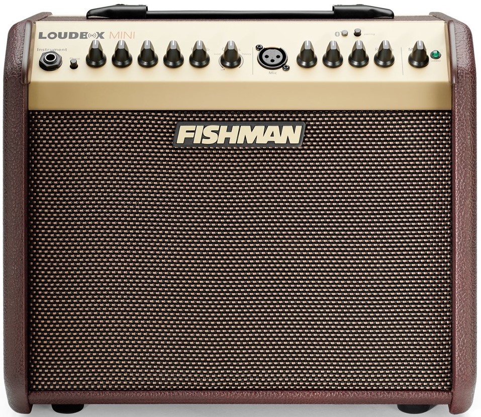Fishman Loudbox Mini Bluetooth Acoustic Amp PRO-LBT-500 - jimmyegypt.com