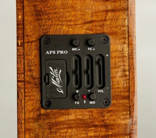 Maton AP5 Pro Pickup System - jimmyegypt.com
